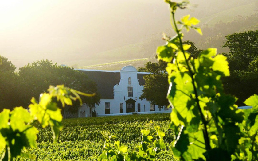 Groot Constantia – Klassische Weine aus dem Constantia Valley